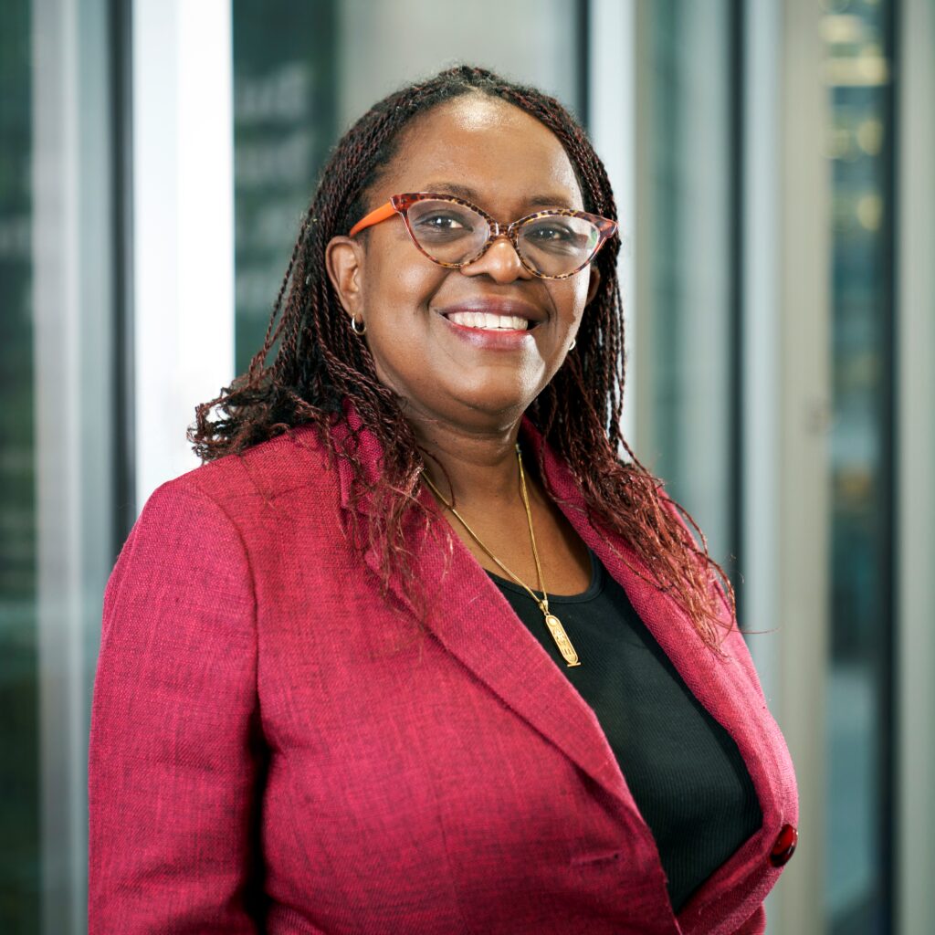 Governance - MedAccess