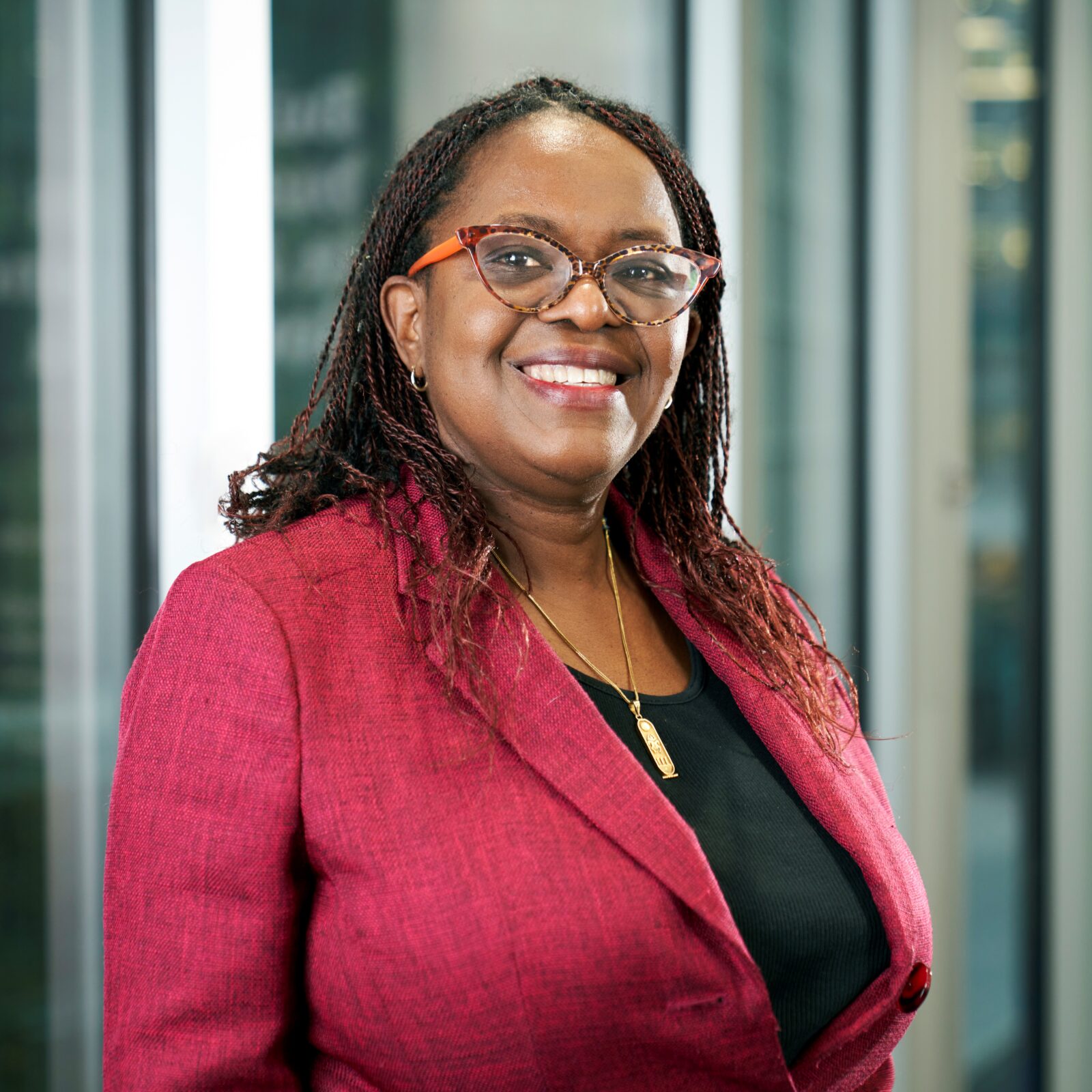 Governance - MedAccess